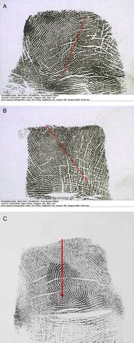 Left Slant Loop Fingerprint