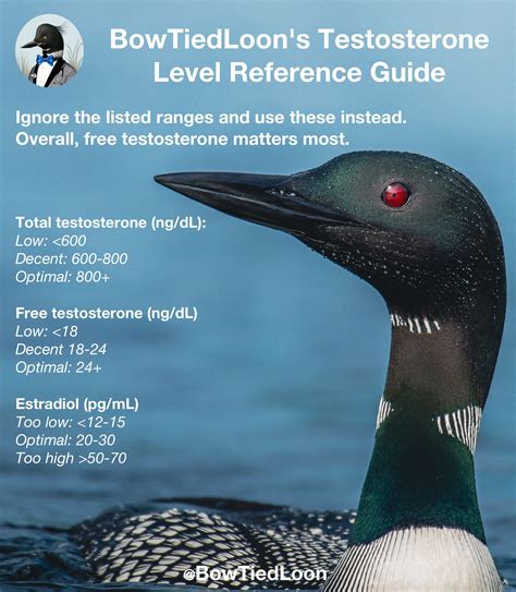 Trt Injection Frequency And Effects On Estradiol And Free Testosterone Shbg