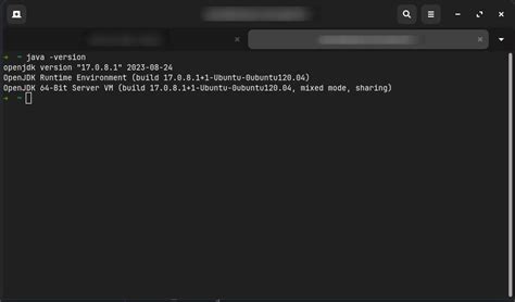 Installing Java On Linux Fabric Documentation