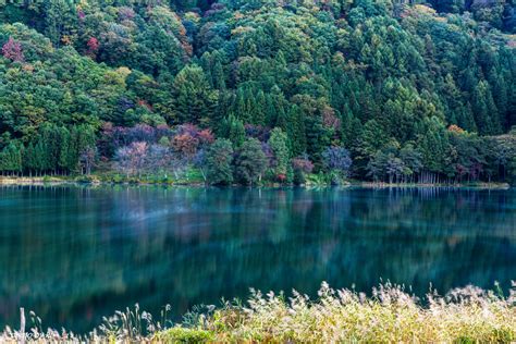 中綱湖の紅葉 by k5a ID11383374 写真共有サイト PHOTOHITO