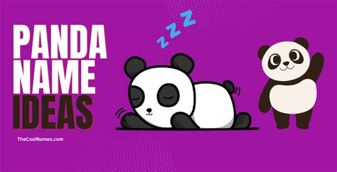 499 Best Panda Names Find The Best Name For Your Panda