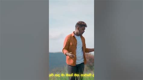 කෝ නුබේ රූ චායා🥺 ️ Youtube