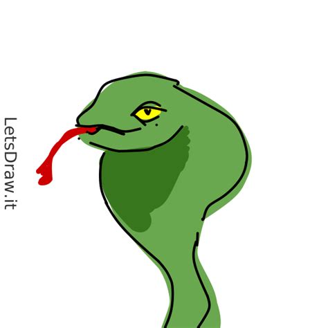 How To Draw Cobra Qmjsrprra Png LetsDrawIt How To Draw Cobra Qmjsrprra Png LetsDrawIt