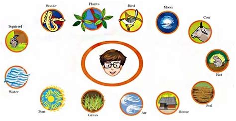 Ncert Solutions For Class 3 Evs Chapter 24 Web Of Life