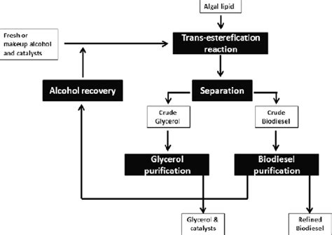 Process Of Trans Esterification Of Algae Download Scientific Diagram