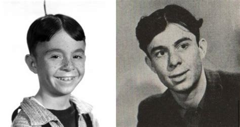 Alfalfa Death