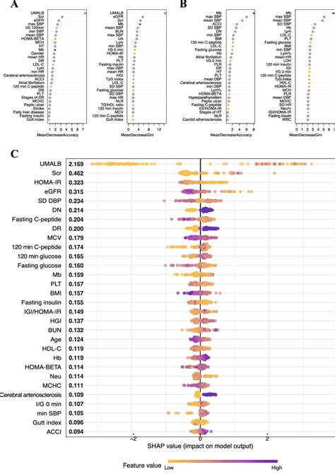 Feature Importance Analysis And Model Interpretation Results Ab