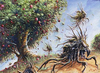 Forbidden Orchard Printings Prices And Variations Mtg