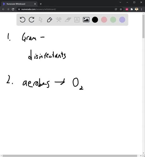 Solved And Negative Bacteria Why Gram What Are The Differences Between Gram Positive Positive