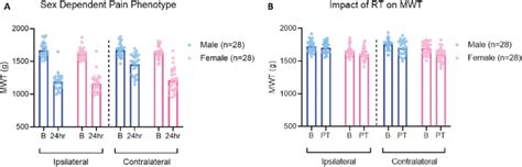 Representation Of The Sex Dependent Pain Phenotype Produced By The Download Scientific Diagram