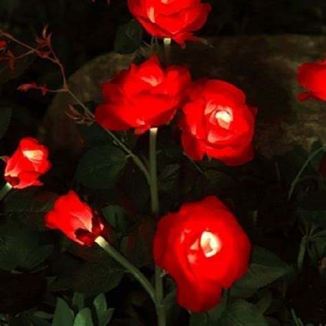 장미 Led 태양광 꽃정원등레드 야외조명등 티몬