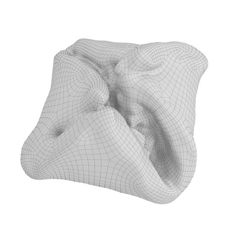 Cookie D Model CGTrader