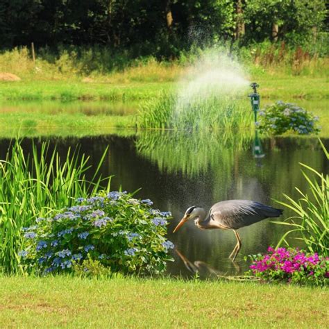 Safeguard Your Pond Life With Floating Pond Protectors And Motion