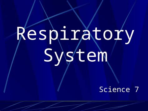 Pptx Respiratory System Science 7 The Respiratory Systems Function