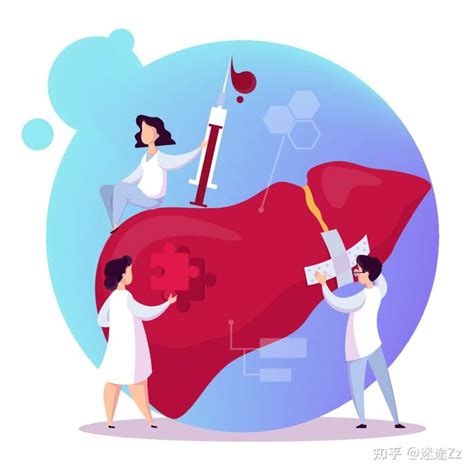 肝脂质沉积怎么办护肝片真的有用吗 知乎