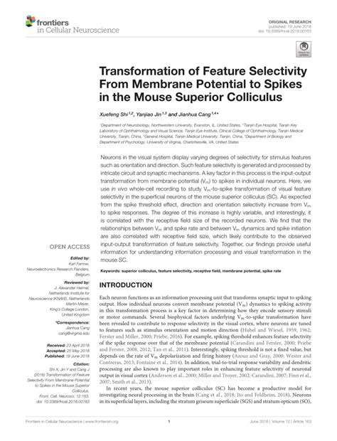 Pdf Transformation Of Feature Selectivity From Membrane Potential To Spikes In The Mouse