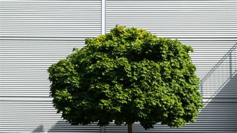 Cad Vs Bim How Is Bim Different From Cad Which One Should I Use Interscale Content Hub