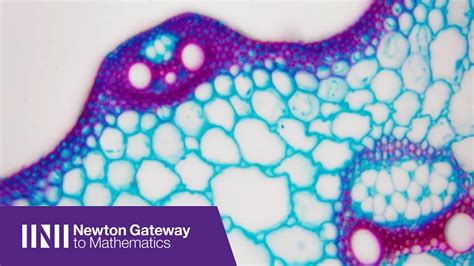 Dr Patrick Richard Rheology Of Confined Granular Systems Shearing Creeping And Friction