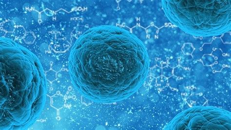 Scientists Discover Bacteria Deep Beneath The Arctic Ice Which Can