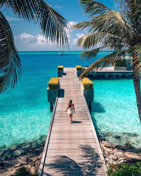 Yasir Arafat Rabbi Posted On Linkedin