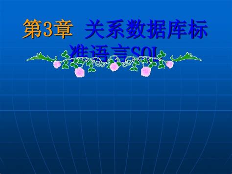 第3章 结构化查询语言sql上word文档在线阅读与下载无忧文档