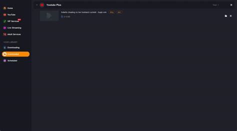 Top Pornhub Premium Downloaders Review