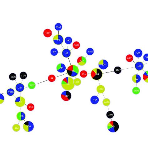 Distribution Of Bla Genes Containing E Coli Multilocus Sequence Download Scientific Diagram