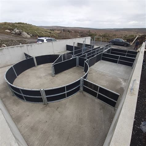 A Superb Sheep Handling System Recently Lm Bateman And Co Facebook