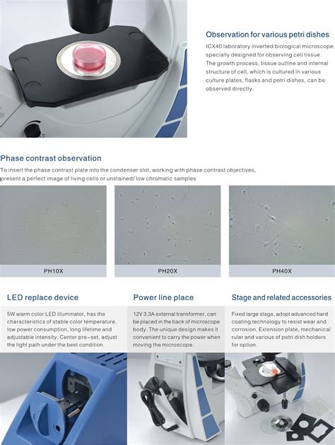 Llumins Invert Laboratory Microscope Biological Micrsocope
