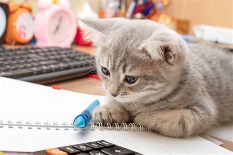 8月支給の年金から天引きされるお金4つとは。年金月額20万円で試算 8月15日は2回目の年金支給日 Limo くらしとお金の経済メディア