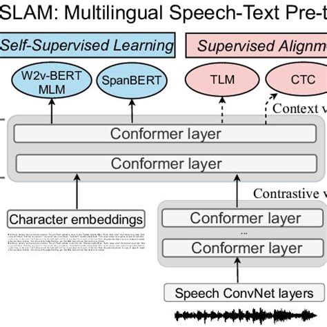 Multilingual Speech Text Pretraining We Pre Train A Large Multilingual Download Scientific