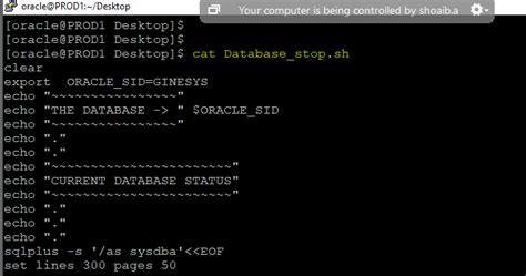 The Oradbsafe Shell Command To Start Stop Oracle Database And Listener