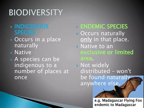Unit 11 Biodiversity And Classification Pptx