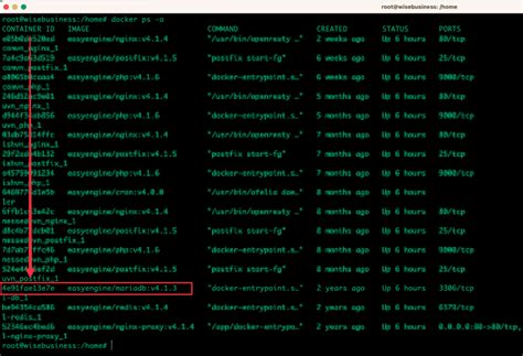 Hướng Dẫn Dump Database Từ Container Trên Docker