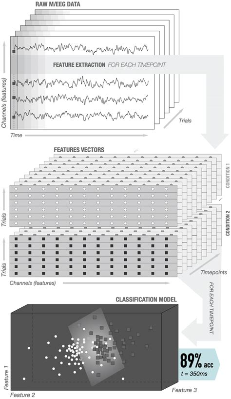 Feature Extraction Stage For Each Participant Time Point And Trial