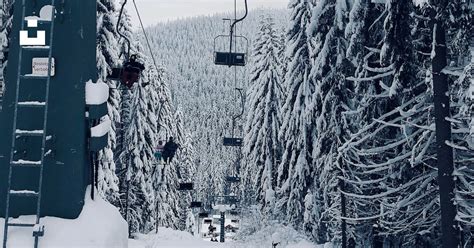 Cable Cart Between Trees Photo Free Ski Image On Unsplash