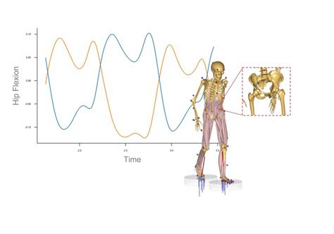 Computational Biomechanics Software Simulation Model Modeling