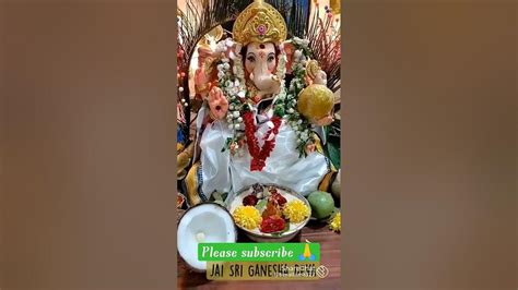 जय गणेश जय गणेश देवा माता जाकी पार्वती पिता महादेवा 🙏 Viralvideo Viralvideo Pleasesubscribe