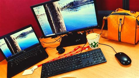 Marwa El Mughrabi On Linkedin Customers Will Never Love A Company Until The Employees Love It