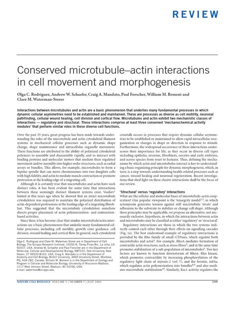 Conserved Microtubule Actin Interactions In Cell Movement And Morphogenesis 03 Pdf