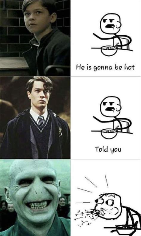Top Harry Potter Memes Voldemort Harry Potter Jokes Harry Potter Hot Sex Picture