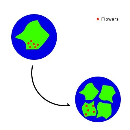 Comparing Contrasting Mutation Genetic Drift And Migration Practice Biology Practice