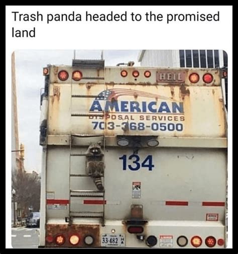 The Trash Panda R Wholesomememes