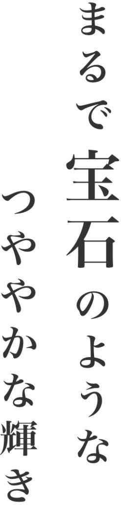 さがみやのこだわり 豆のさがみや