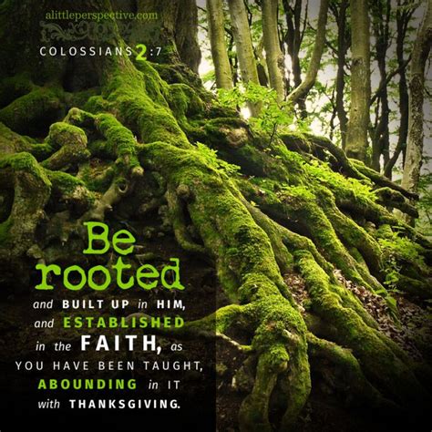 Col 2 7 Kjv Pixabay In 2021 Scripture Pictures Colossians Colossians 2