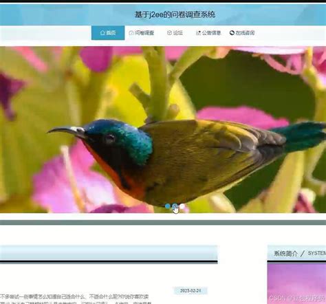 Javaweb在线问卷调查系统java问卷调查系统 Csdn博客