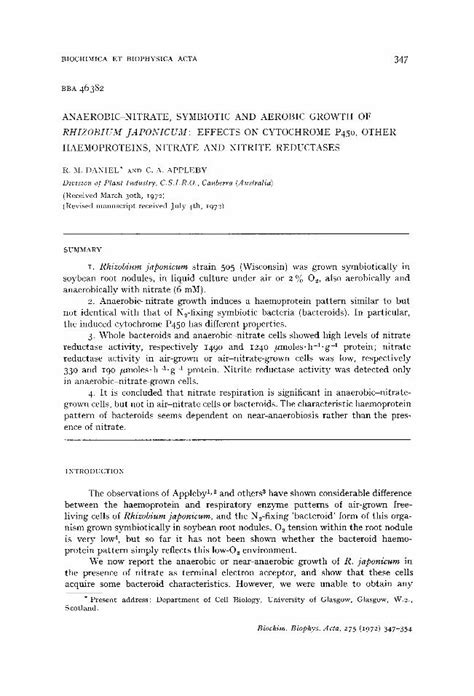 Pdf Anaerobic Nitrate Symbiotic And Aerobic Growth Of Rhizobium