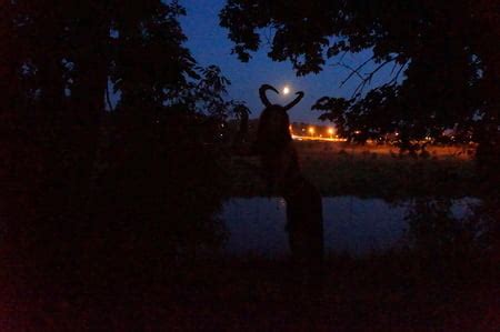 Night Moon Maleficent Pics Xhamster