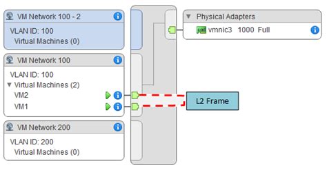 Hostile Coding VMware VLANs And VSwitches