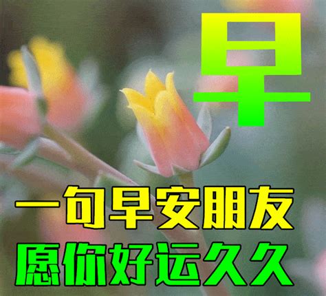 一句早安朋友愿你拥抱好心情 问候 才能 万物